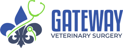 Common Surgical Conditions in Pets | Gateway Veterinary Surgery