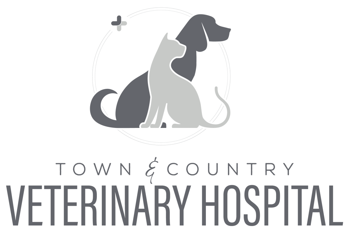 Contact Gateway Veterinary Surgery – St. Louis | Gateway Veterinary Surgery
